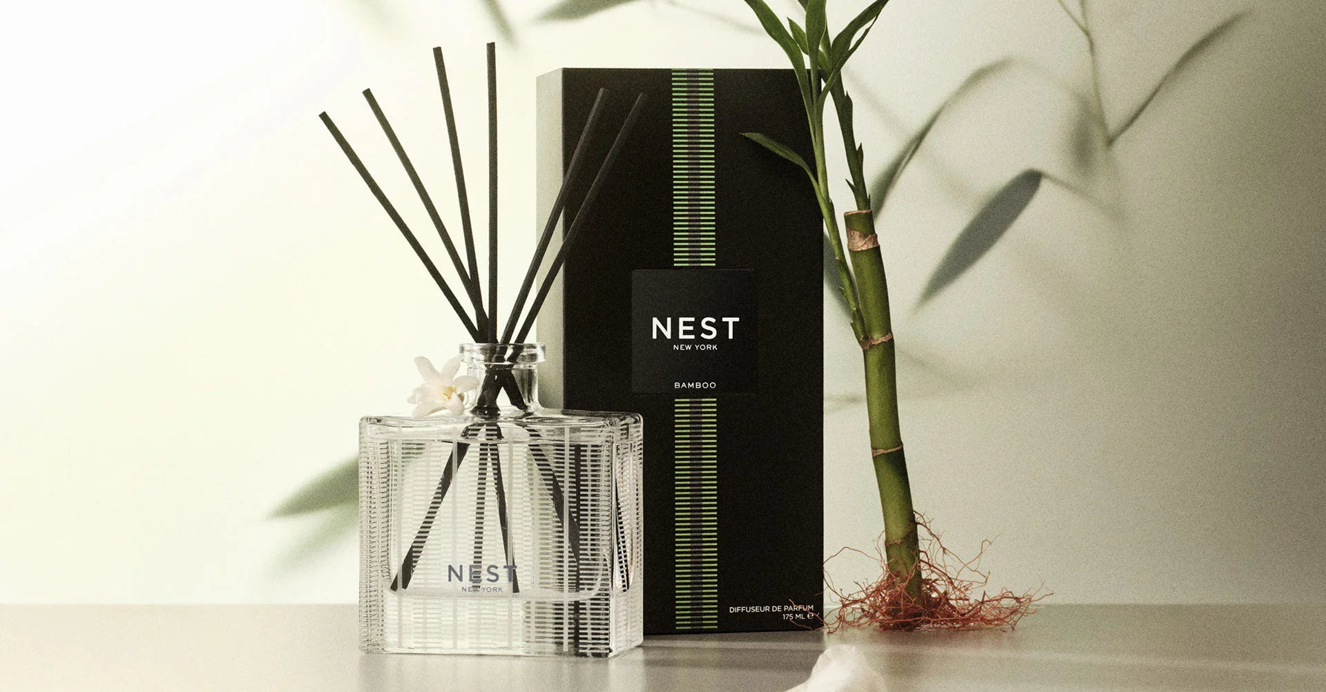 Reed Diffusers & Refill | NEST New York